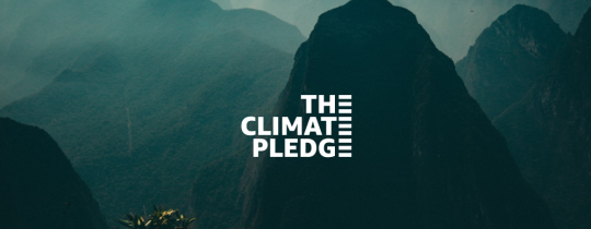 How to Build Digital Platforms for the Evolving Customer Journey | Monks