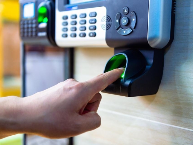 Technology Services | Innovation, Development, and Consulting